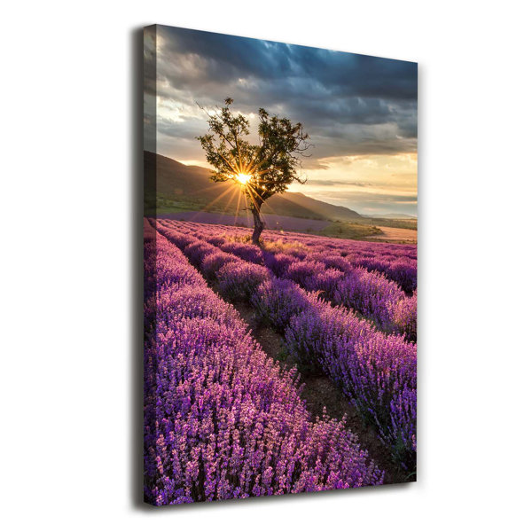 Sommerallee Lavendelfeld - Kunstdrucke auf Leinwand - Wrapped Canvas | Wayfair.de